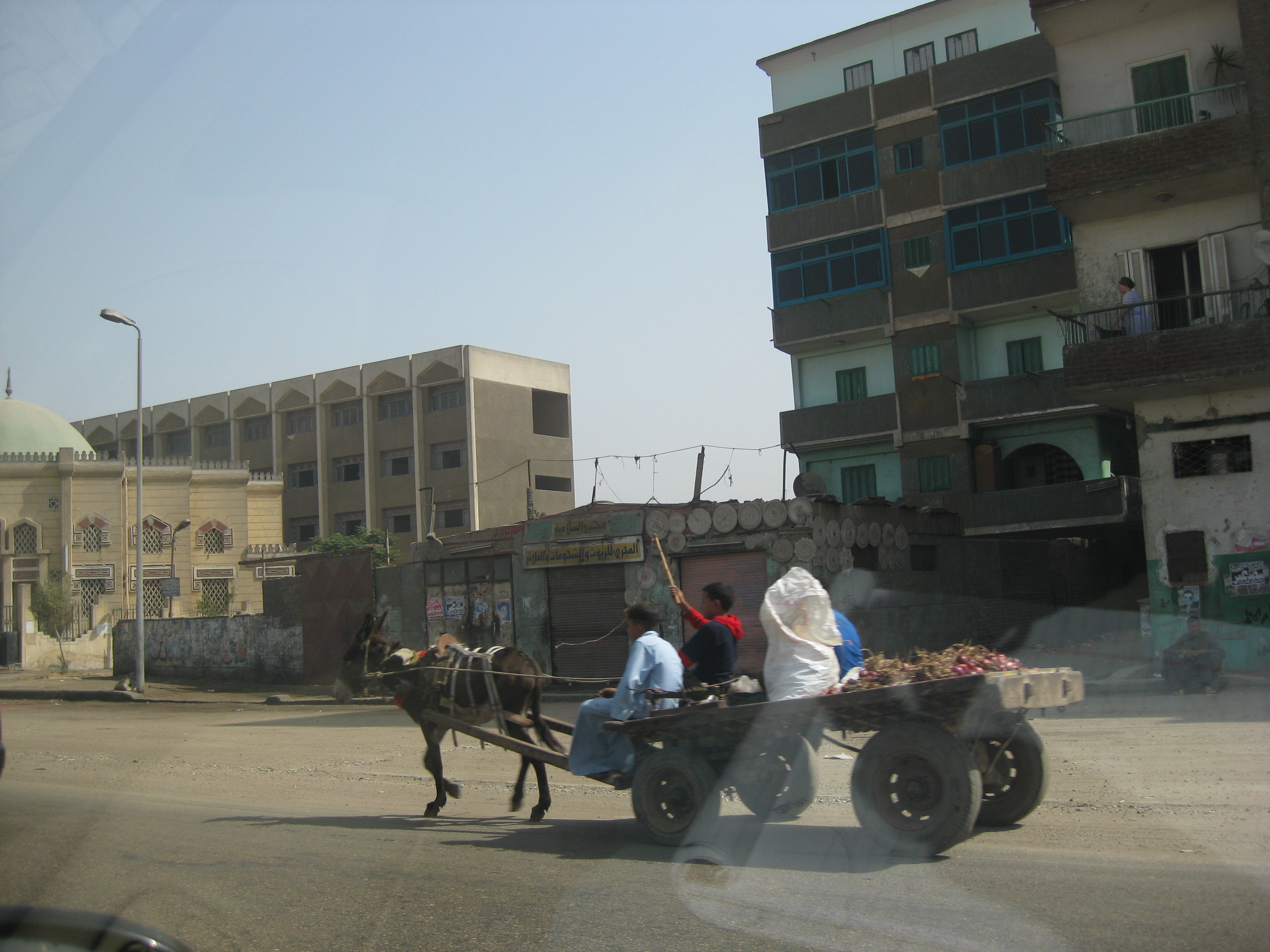 Egypt is Cool and All, But - NomoGaia