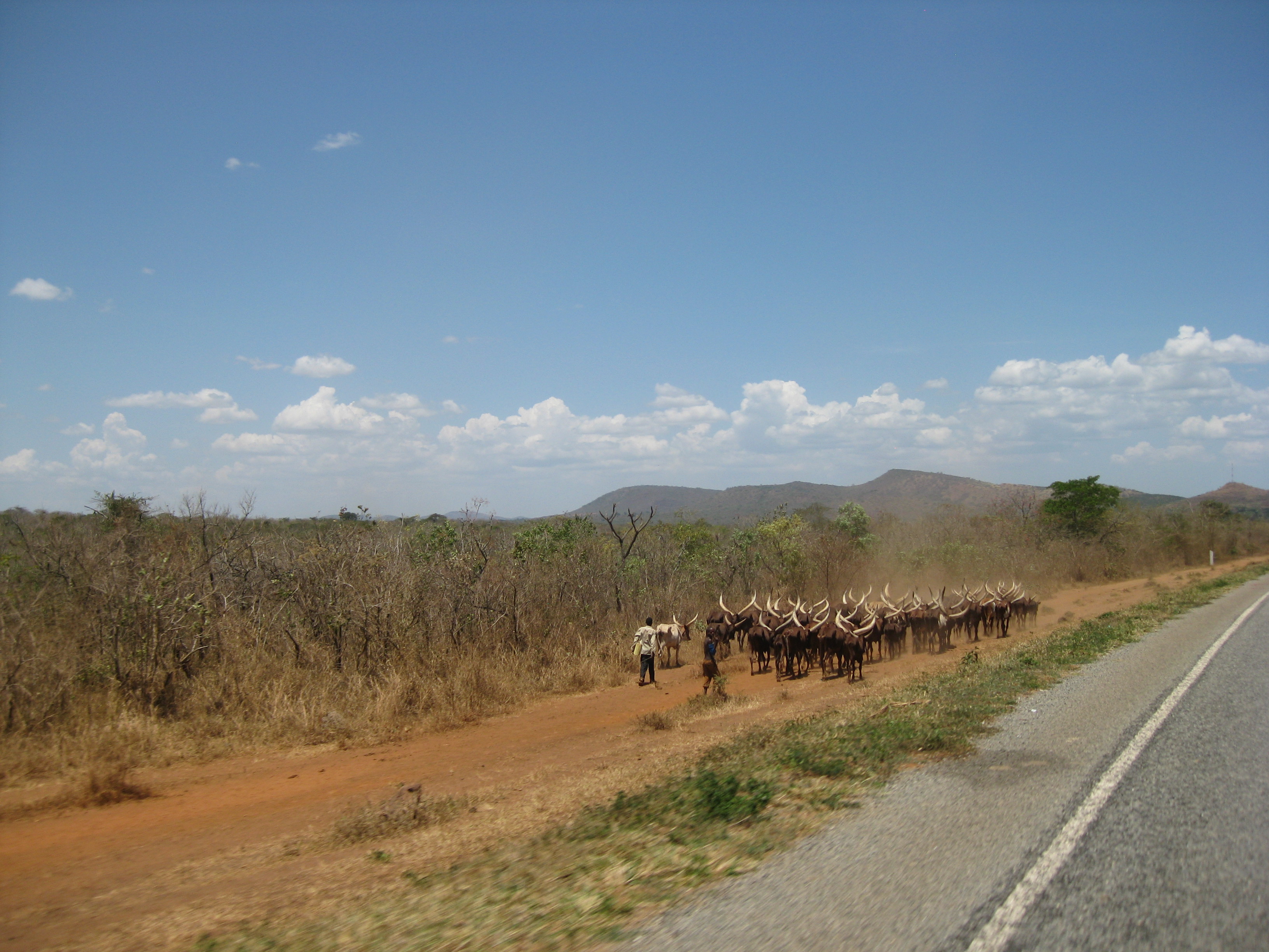 Land Management! - NomoGaia