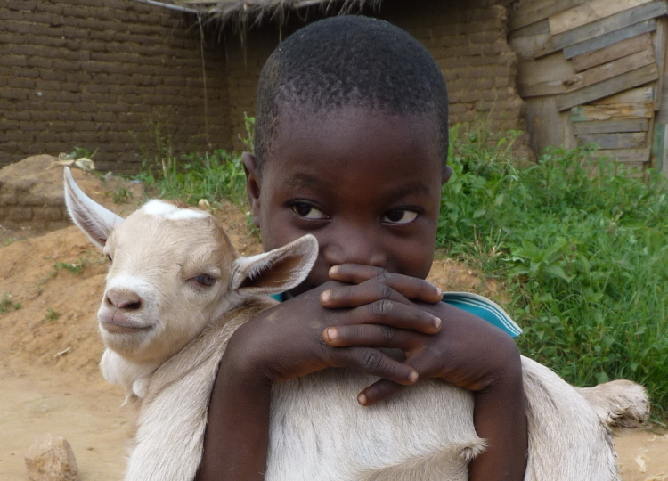 Day 2! What UNICEF doesn’t know about child rights - NomoGaia