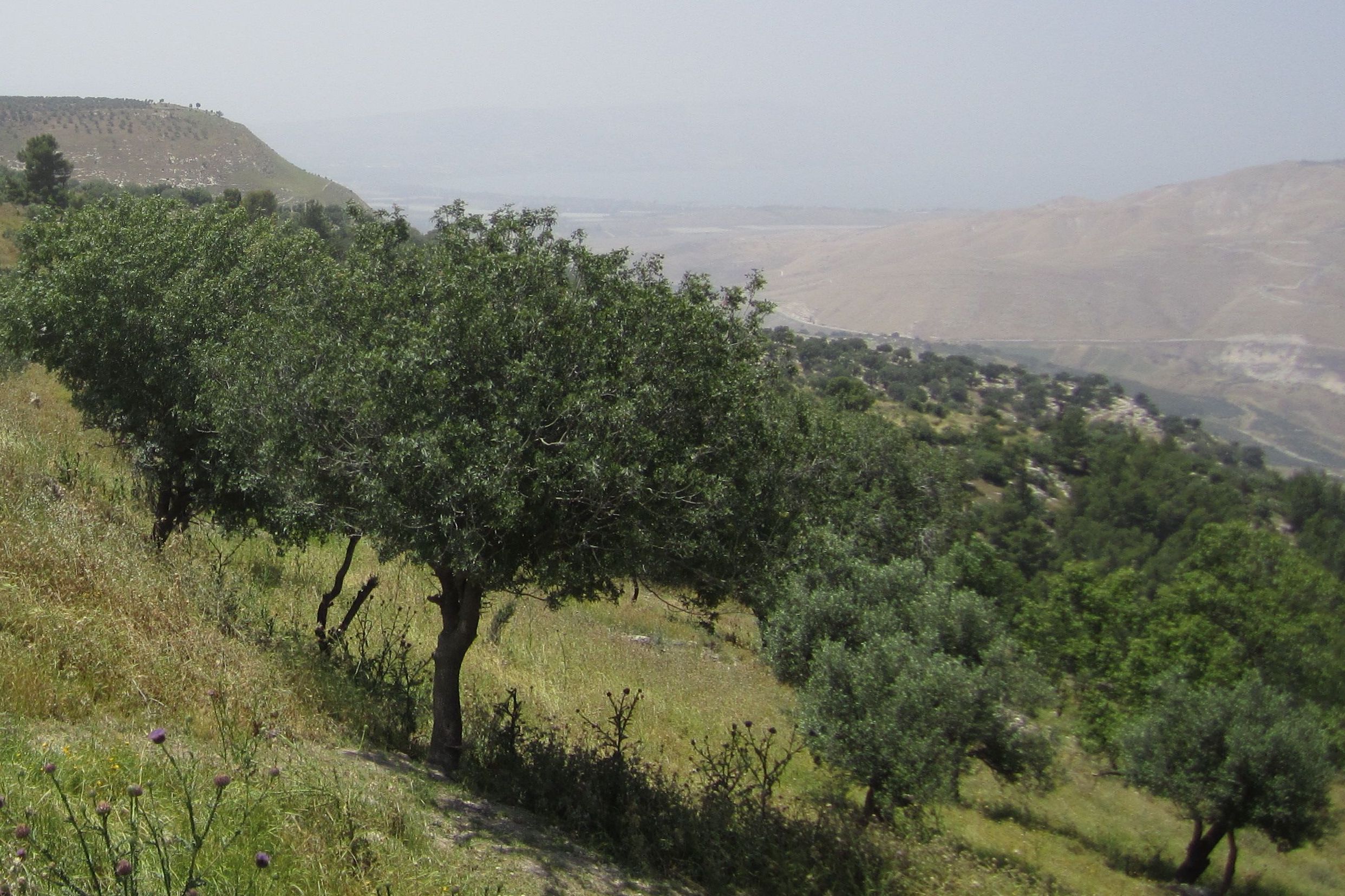 Water: the human rights crisis HRW missed in Jordan - NomoGaia